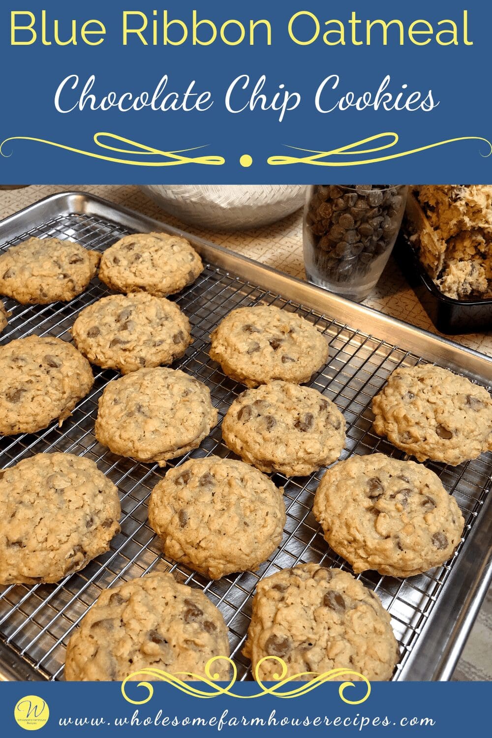Blue Ribbon Oatmeal Chocolate Chip Cookies - Wholesome Farmhouse Recipes