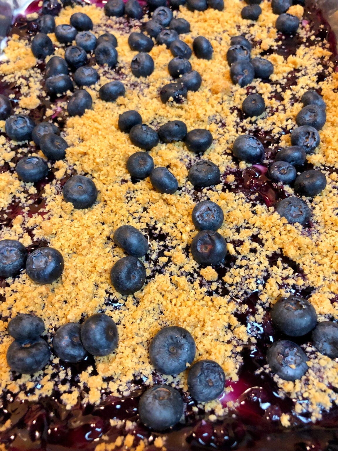 Creamy No-Bake Blueberry Delight - Wholesome Farmhouse Recipes