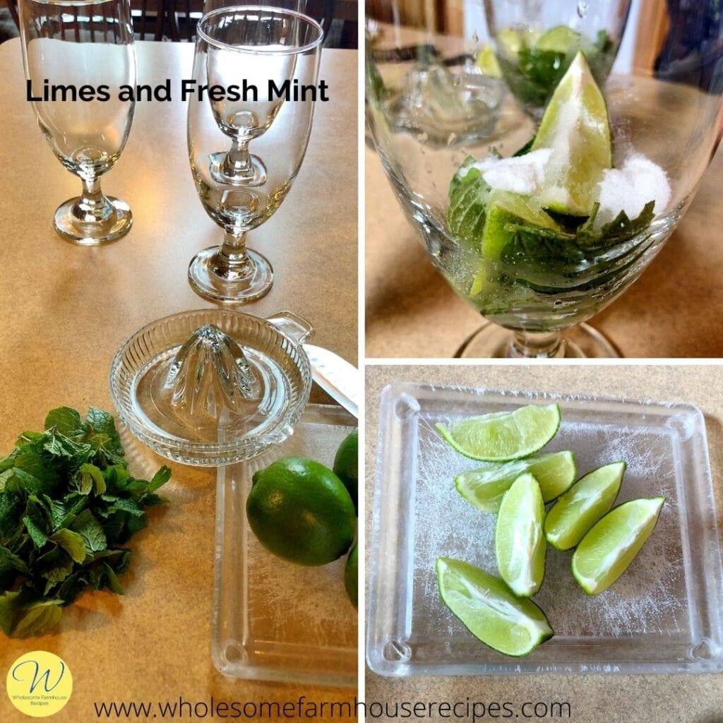 A Guide to an Authentic Homemade Mojito Recipe - Wholesome Farmhouse ...