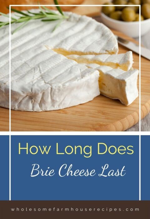 A Guide to Different Types of Onions and Their Uses - Wholesome Farmhouse Recipes