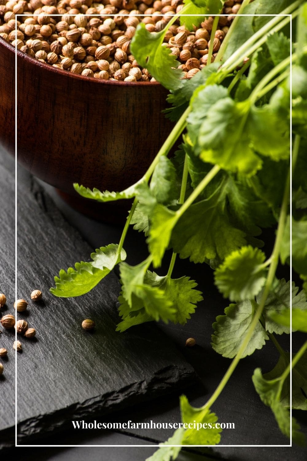 How Long Does Cilantro Last and How to Store - Wholesome Farmhouse Recipes