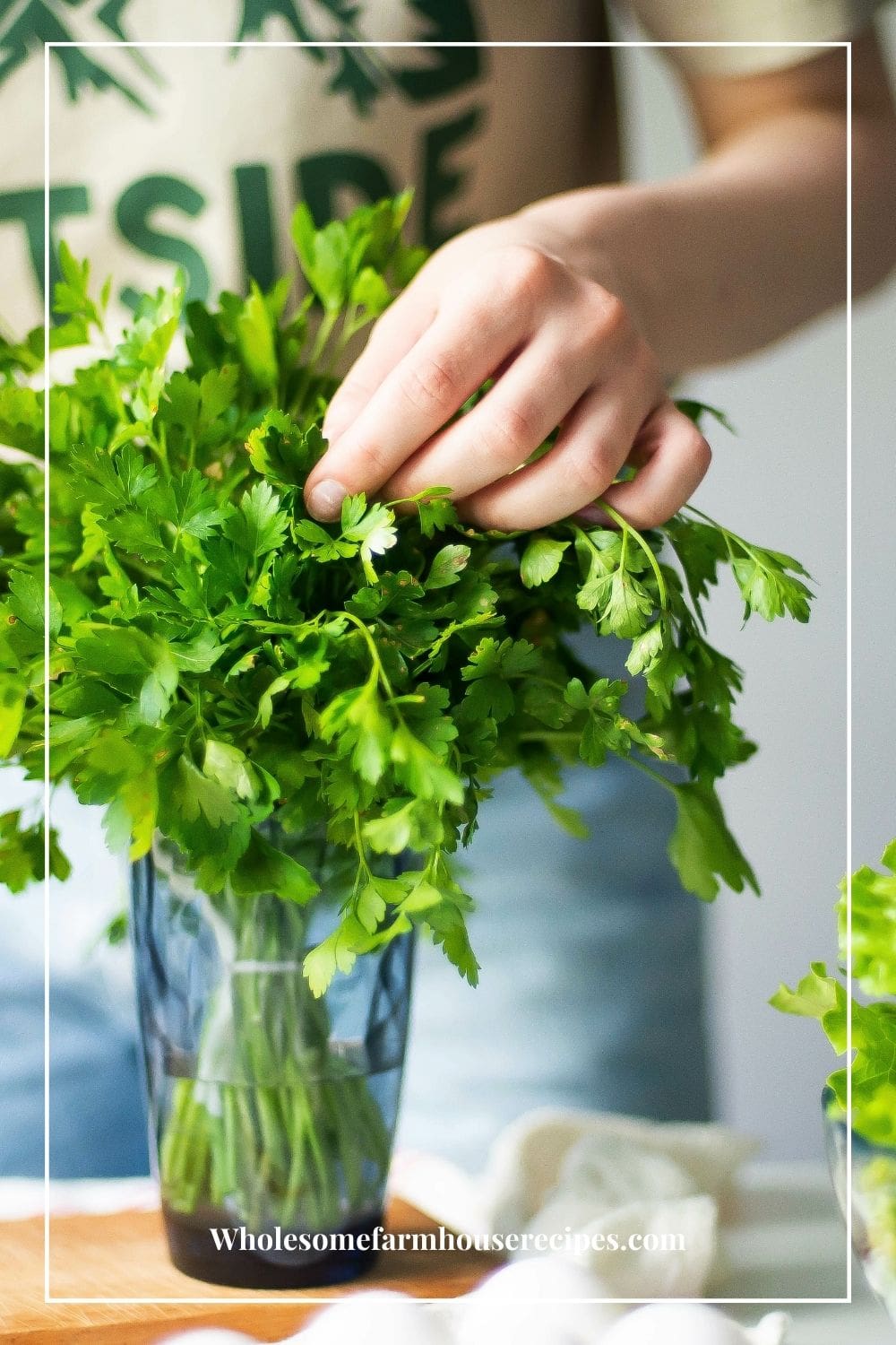How Long Does Cilantro Last and How to Store - Wholesome Farmhouse Recipes