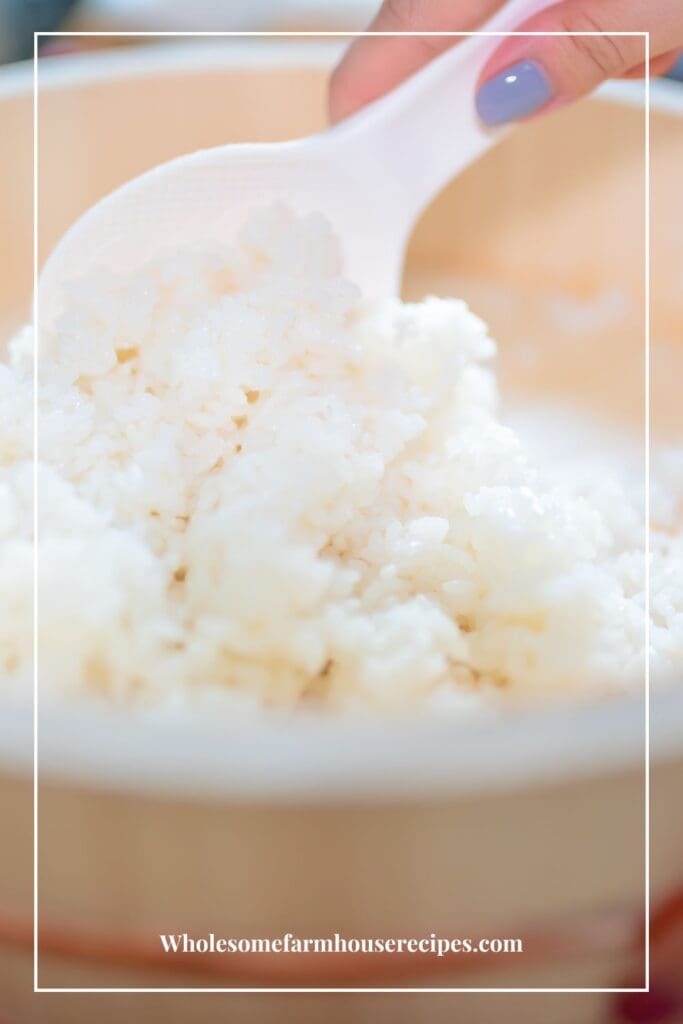 How to Make Spam Musubi with Teriyaki Sauce - Wholesome Farmhouse Recipes