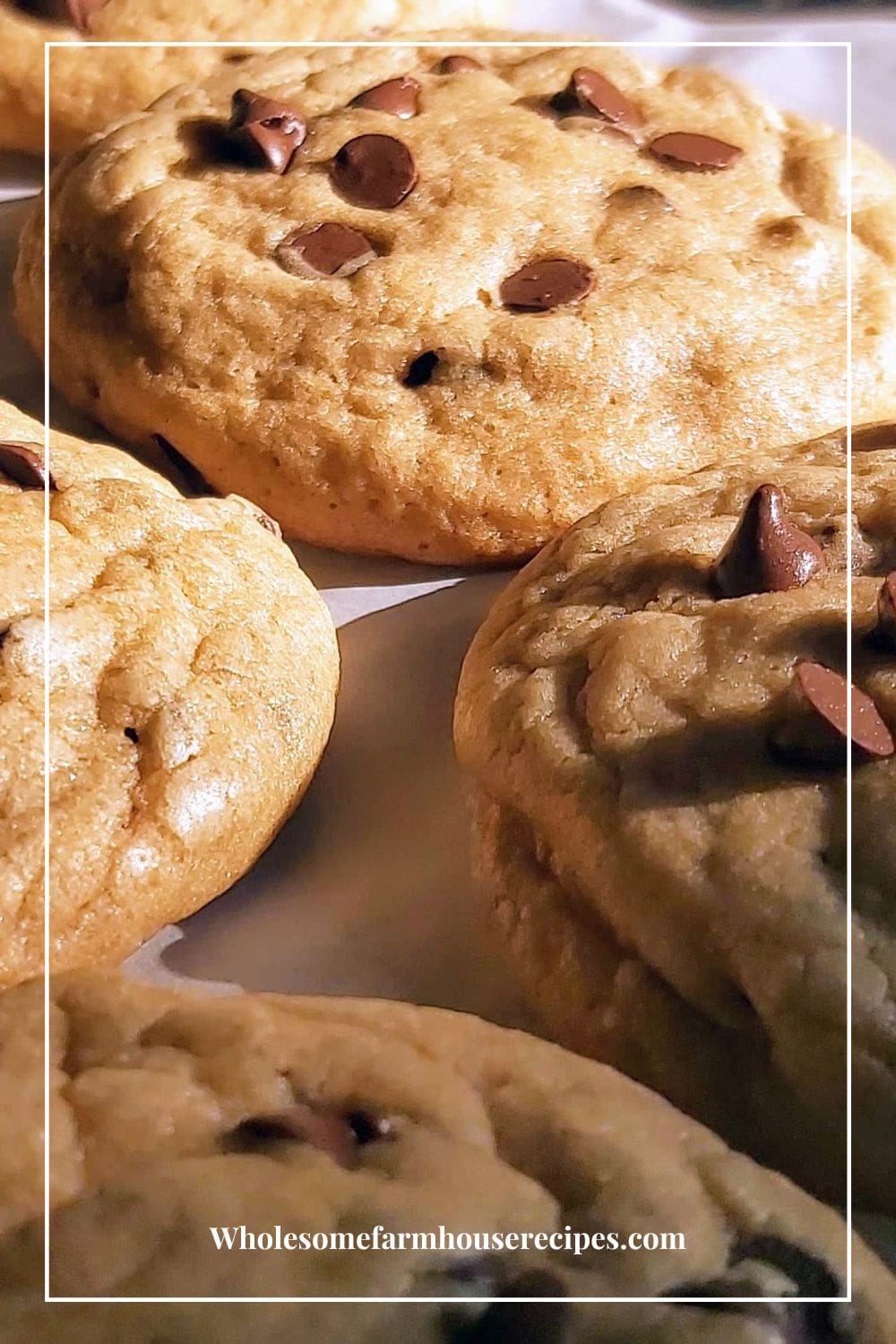 What is the Secret to Bakery Cookies? The Best Tips - Wholesome ...