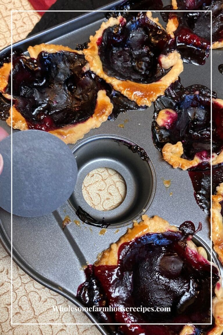 Mini Blueberry Tarts - Wholesome Farmhouse Recipes