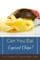 Can You Eat Expired Chips? - Wholesome Farmhouse Recipes