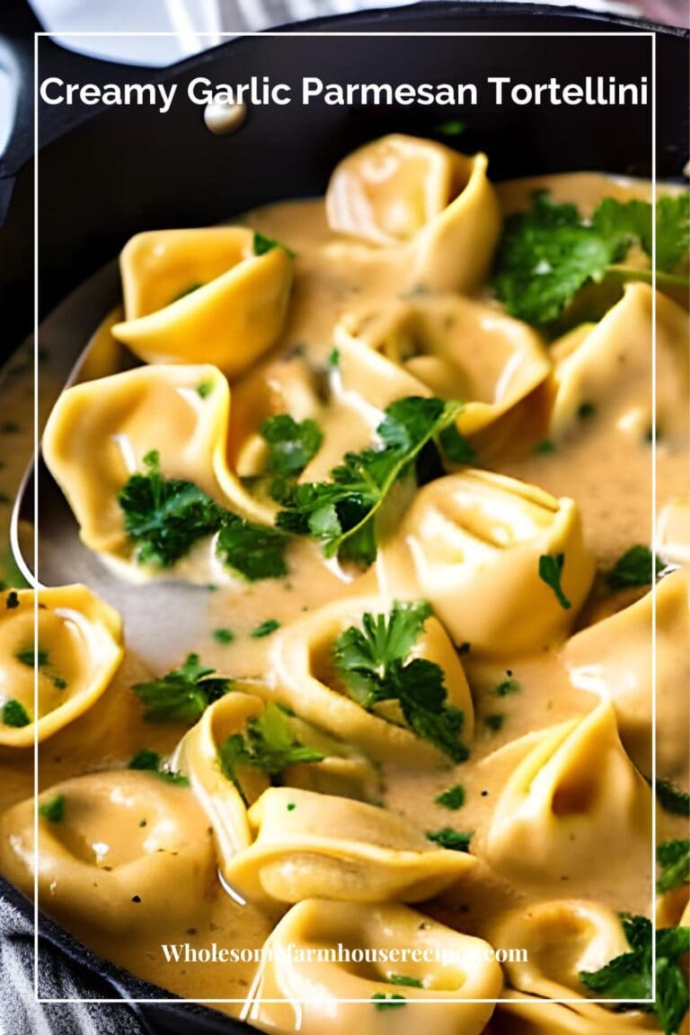 Tortellini vs Ravioli: Unveiling the Delicious Differences - Wholesome ...