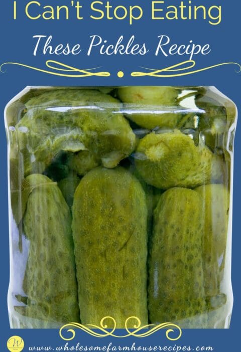 Melting Pot Wisconsin Cheddar Cheese Fondue Recipe - Wholesome ...