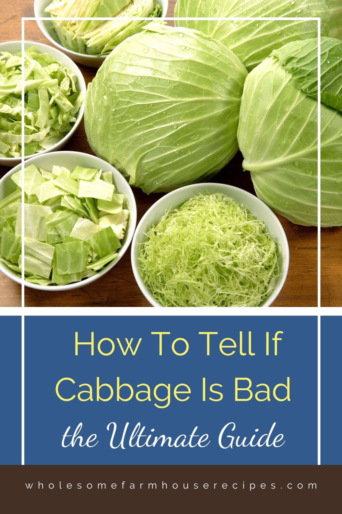 How To Tell If Cabbage Is Bad the Ultimate Guide - Wholesome Farmhouse Recipes