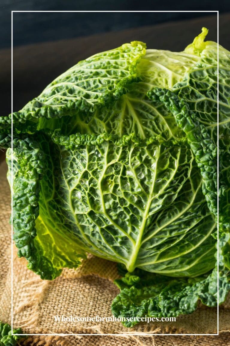 How To Tell If Cabbage Is Bad the Ultimate Guide - Wholesome Farmhouse ...