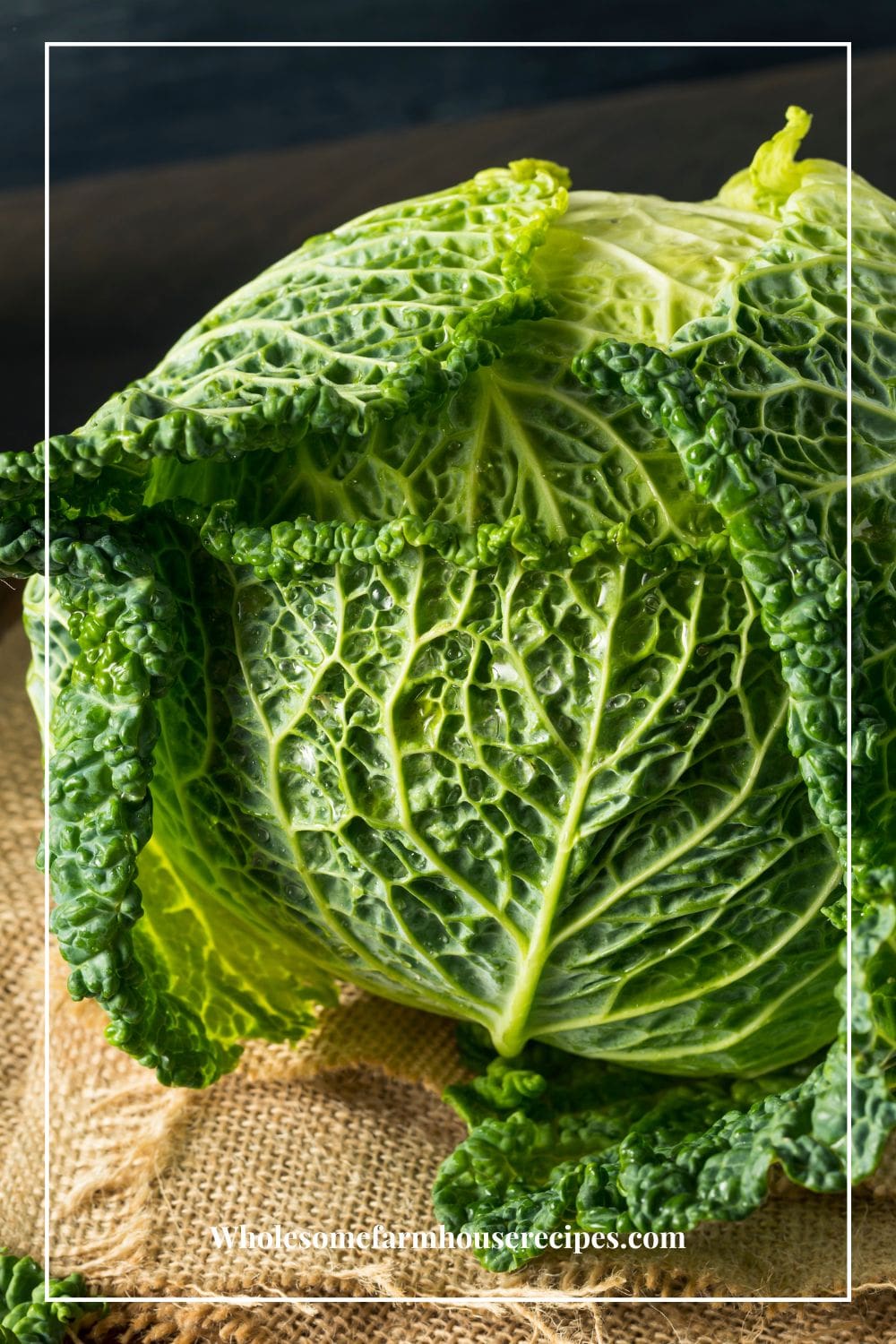 How To Tell If Cabbage Is Bad the Ultimate Guide - Wholesome Farmhouse ...