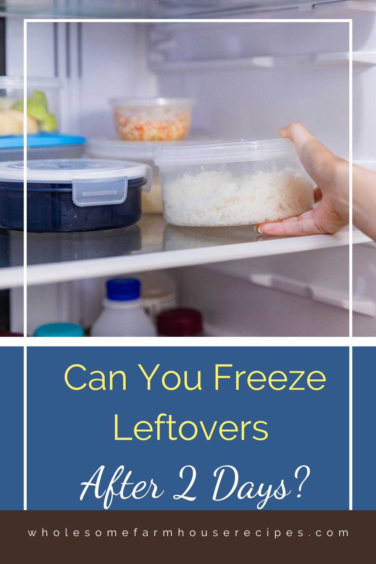Can You Freeze Leftovers After 2 Days - Wholesome Farmhouse Recipes