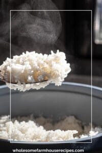 The Best Way to Reheat Leftover Rice - Wholesome Farmhouse Recipes