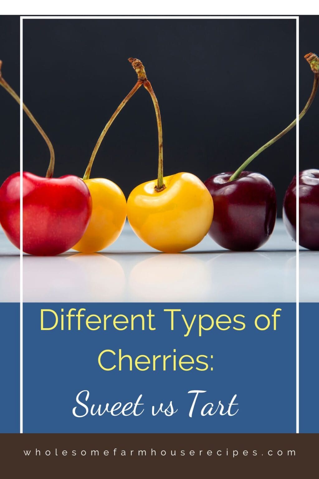 Different Types of Cherries: Sweet vs Tart - Wholesome Farmhouse Recipes