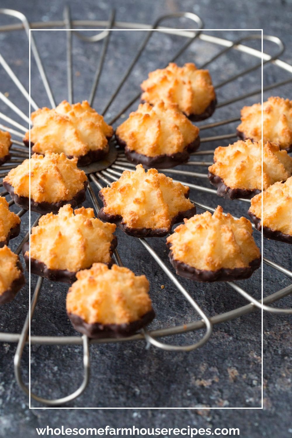 Easy Coconut Macaroon Recipe: A Sweet and Chewy Treat - Wholesome ...