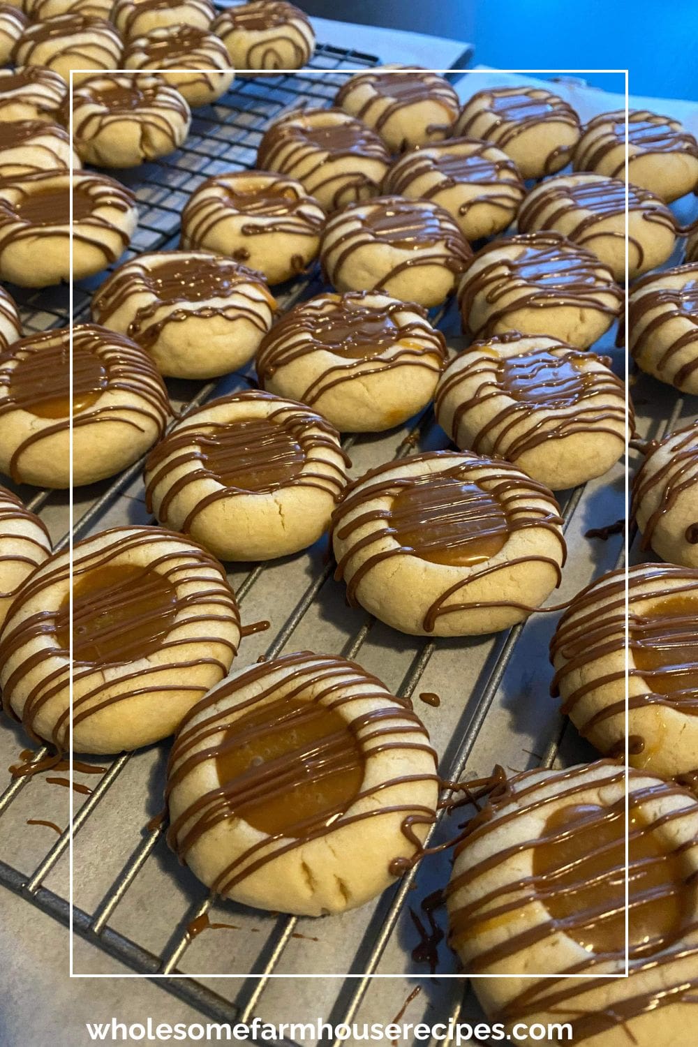 Ultimate Guide to Baking Perfect Batches of Cookies - Wholesome ...