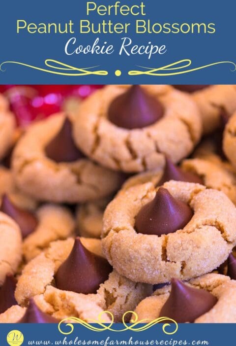 Best Cut Out Sugar Cookies Recipe - Wholesome Farmhouse Recipes