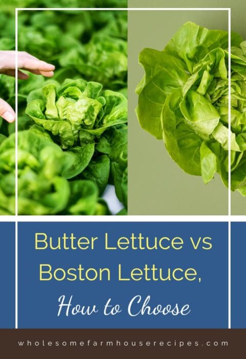 Heinz Simply Ketchup Versus Regular Brand Review - Wholesome Farmhouse ...