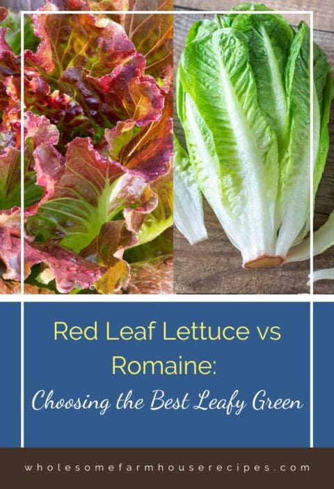 Best Heavy Cream Replacements in Recipes: Easy Swaps - Wholesome ...