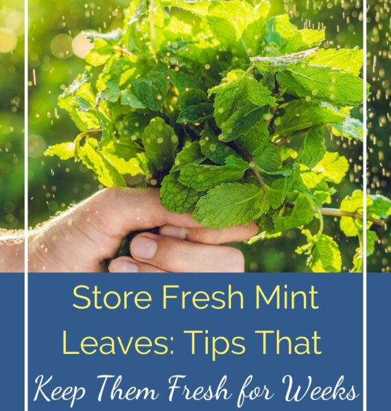 Freezing & Canning Archives - Wholesome Farmhouse Recipes