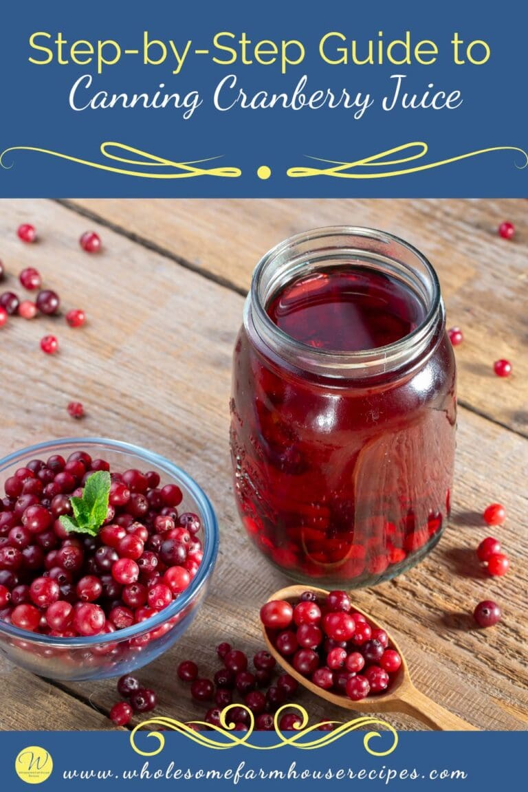 Step-by-Step Guide to Canning Cranberry Juice - Wholesome Farmhouse Recipes