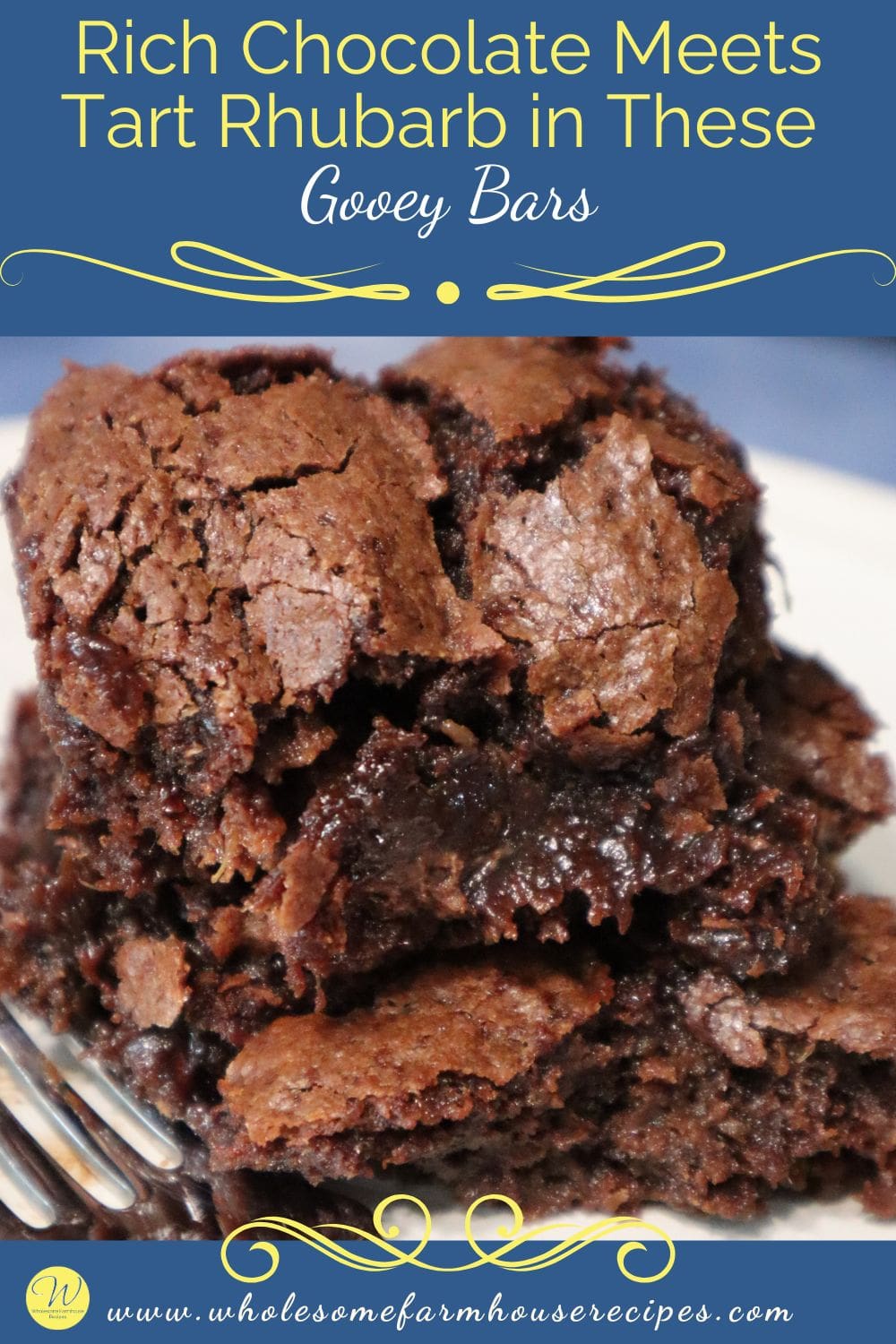 Rich Chocolate Meets Tart Rhubarb in These Gooey Brownie Bars ...